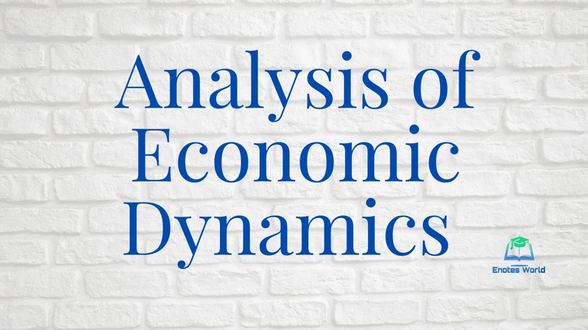 Economic Dynamics - Micro economic Analysis