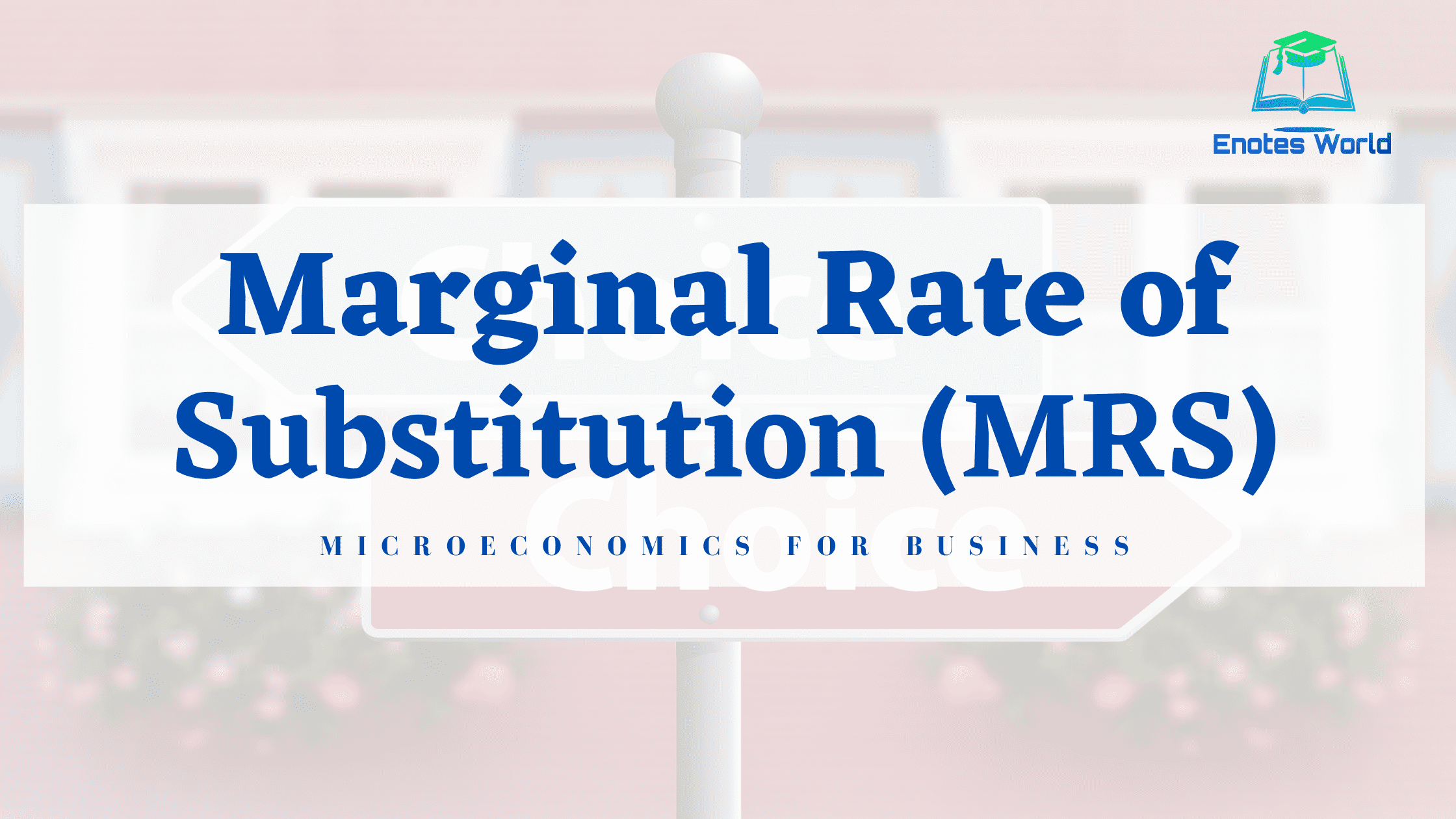 Marginal Rate of Substitution (MRS)- Microeconomics for Business