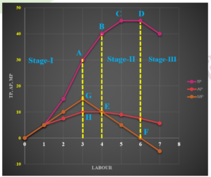 Law of Variable Proportion- Microeconomics MA Economics Note TU