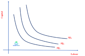 Isoquant Curve Map - Microeconomics Analysis